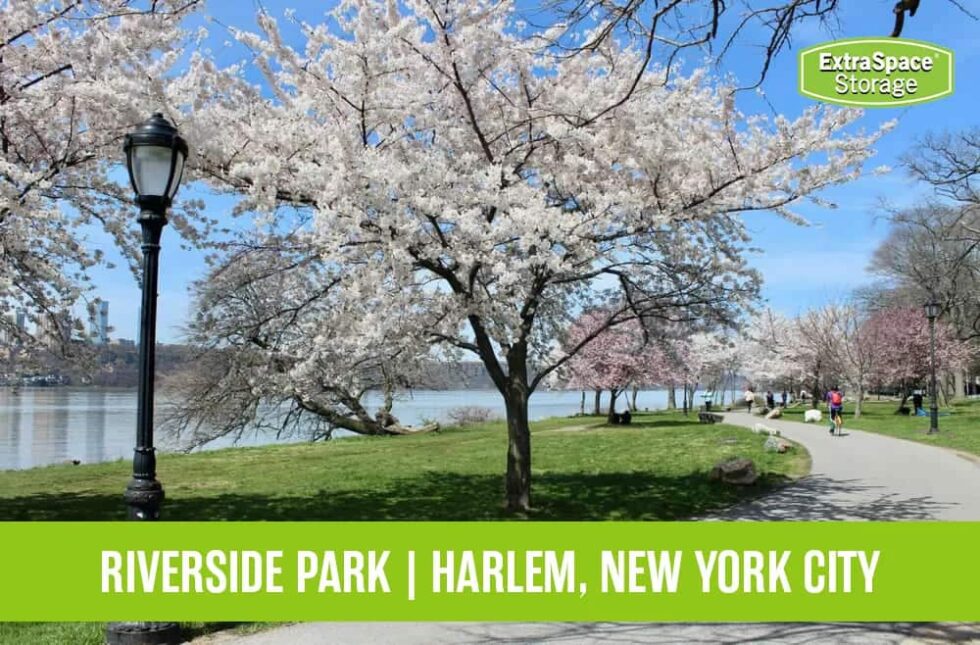 Moving to Harlem? Here Are 17 Things to Know | Extra Space Storage
