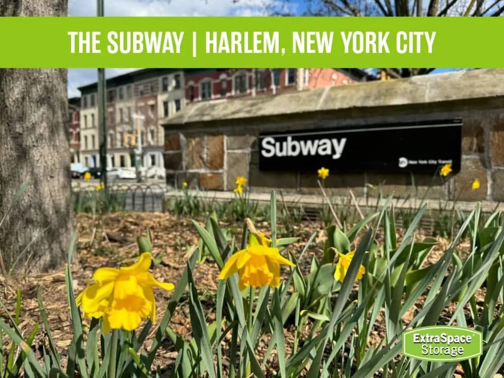 Moving to Harlem? Here Are 17 Things to Know | Extra Space Storage