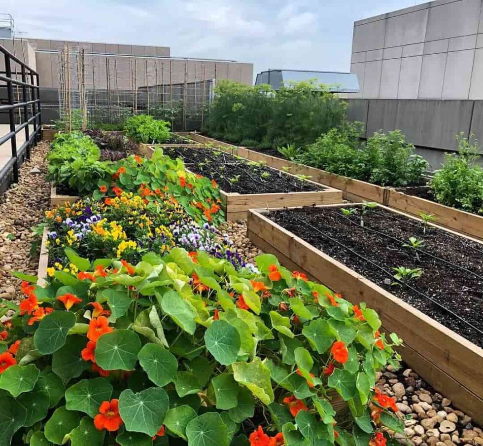 26 DIY Ideas for Creating an Urban Garden | Extra Space Storage