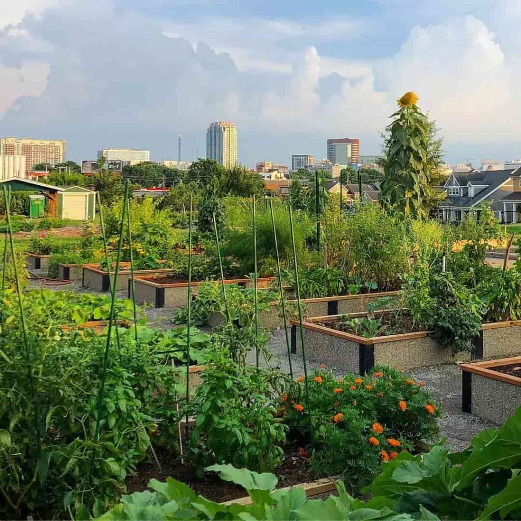 26 DIY Ideas for Creating an Urban Garden | Extra Space Storage