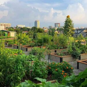 26 DIY Ideas for Creating an Urban Garden | Extra Space Storage