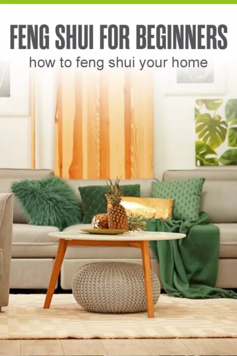 Feng Shui Home Guide for Beginners: Tips & Decorating Ideas