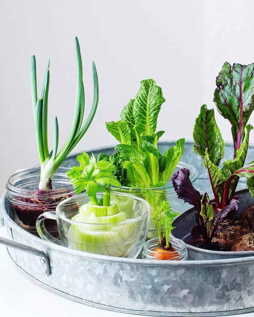 Going Green: A Guide to Sustainable Living at Home | Extra Space Storage