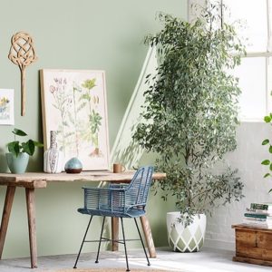 Interior Paint Ideas: 12 Tips to Help You Get the Right Wall Color ...