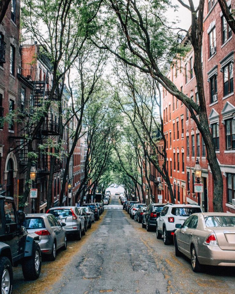 5 Best Neighborhoods in Boston for Families in 2026