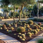 9 Landscaping Tips & Ideas for Increasing Home Value