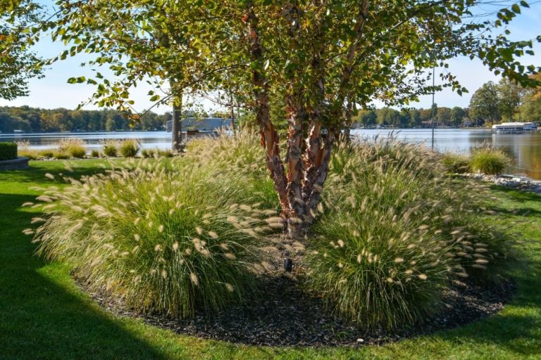 16 DIY Landscaping Projects for Your Yard | Extra Space Storage