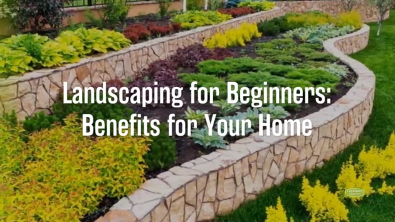 Landscaping 101: Everything You Need to Know | Extra Space Storage
