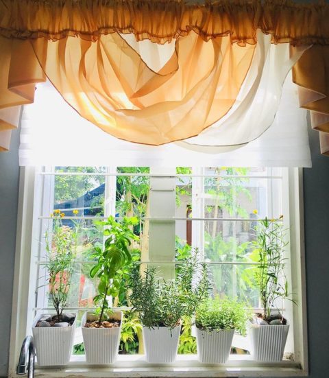 14 Urban Jungle Interior Design Ideas for Your Home | Extra Space Storage