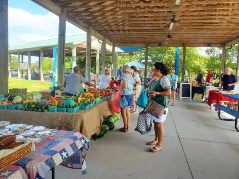 Moving to Myrtle Beach? Here are 14 Things to Know | Extra Space Storage