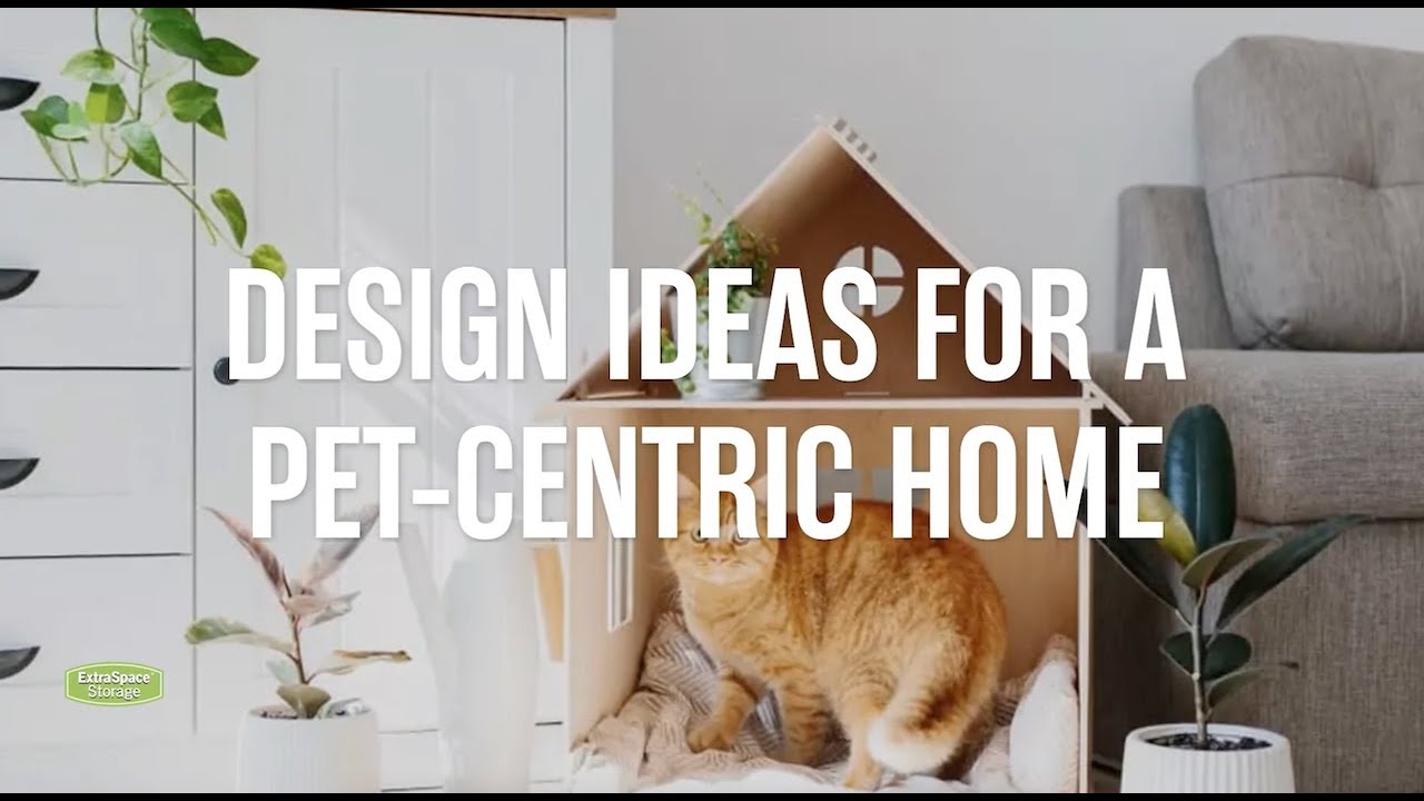 9 Tips for Designing Barkitecture for Your Pet | Extra Space Storage