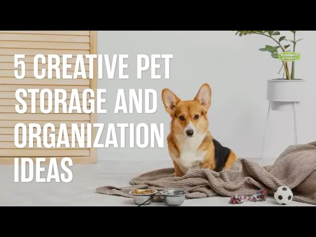 11 Ideas for Pet Supply Organization and Storage | Extra Space Storage